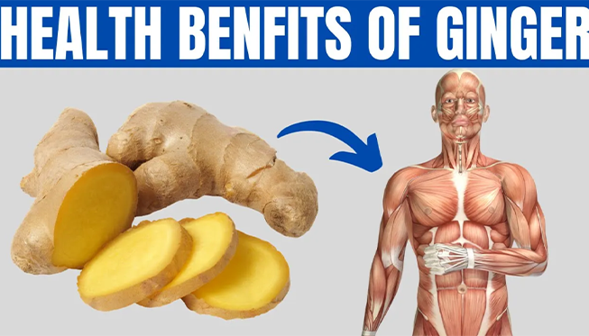Top 10 Amazing HEALTH BENEFITS OF GINGER! - Health Care For Men Top 10 Amazing HEALTH BENEFITS OF GINGER! - Health Care For Men
